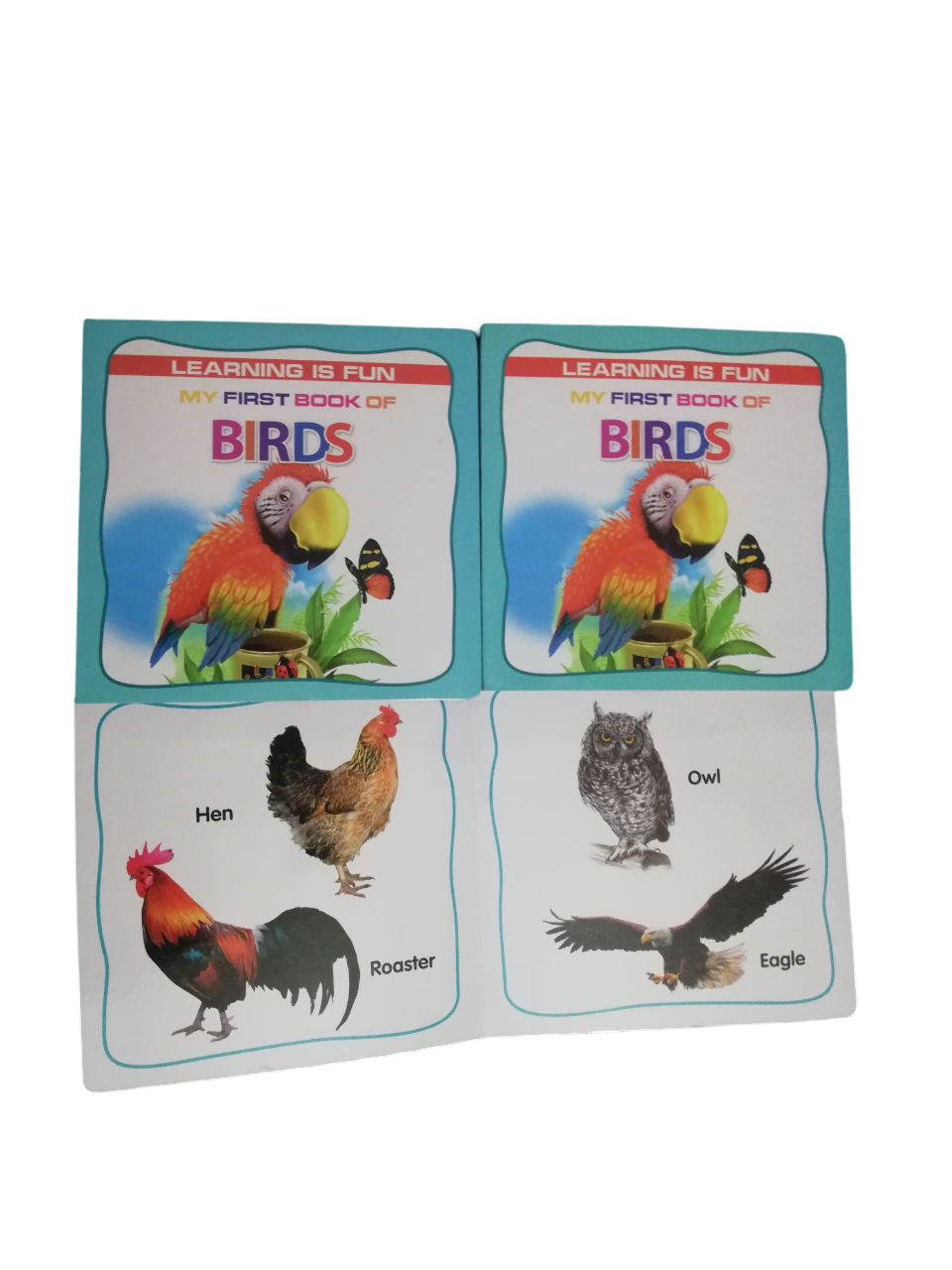 Large size Board Book of "Birds" for kids - Hard Bound - Premium ...